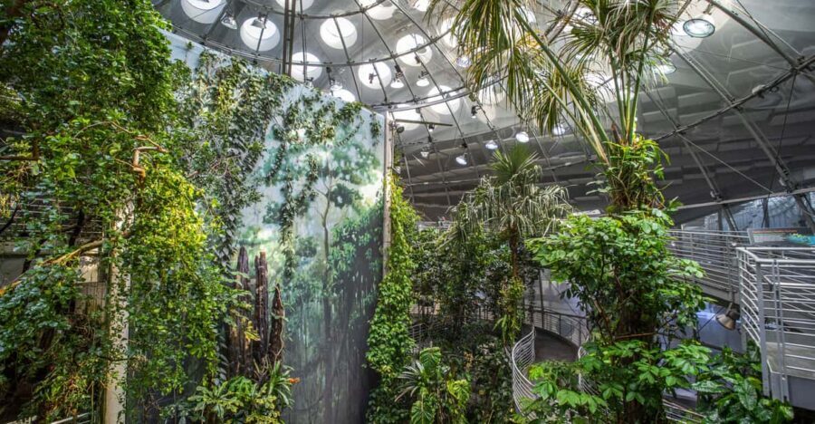 Golden Gate Park Tour With California Academy of Sciences - What Makes This Tour Valuable