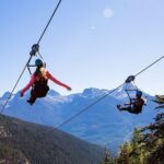 Golden Sky Bridge & Yoho National Park Private Day Tour - Wapta Falls: Power and Serenity
