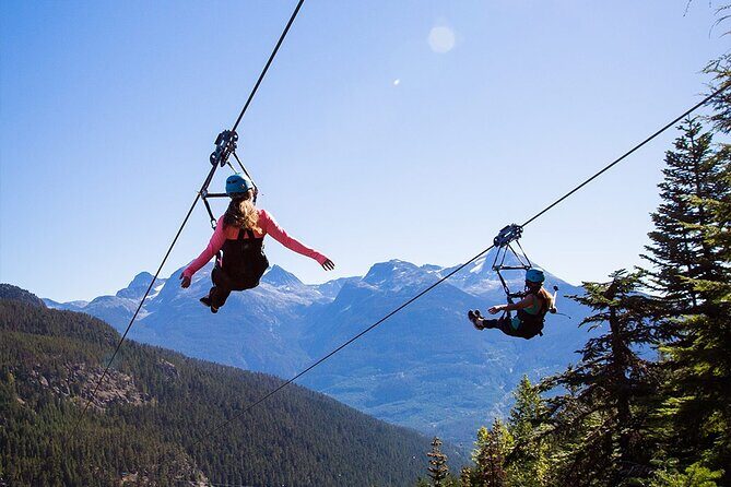Golden Sky Bridge & Yoho National Park Private Day Tour - Wapta Falls: Power and Serenity