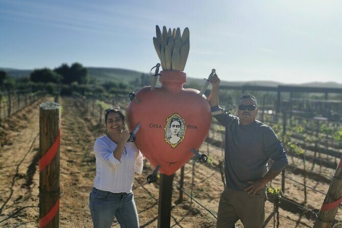 Grand Mexico Wine Country Tour from San Diego - Who Should Book This Tour?