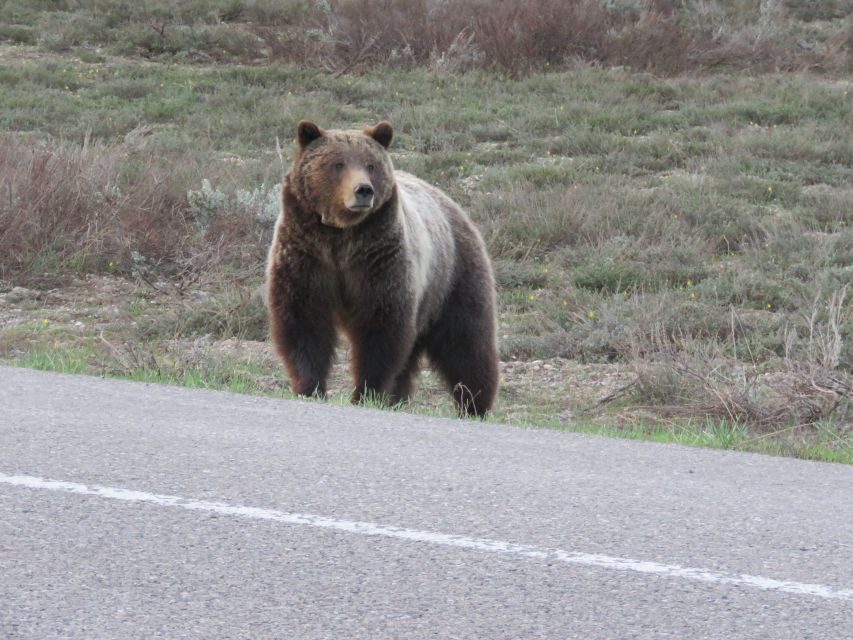 Grand Teton National Park: Full-Day Tour with Boat Ride - What’s Included and What to Expect