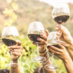 Grape Escapes Full-Day Private Wine Tour in Ithaca - Who Will Love This Tour?