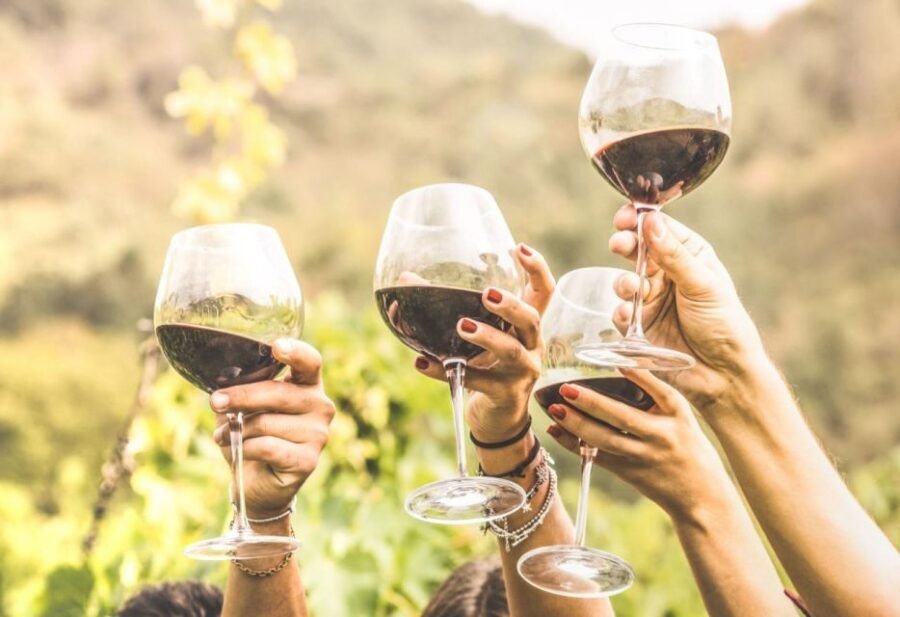 Grape Escapes Full-Day Private Wine Tour in Ithaca - Who Will Love This Tour?