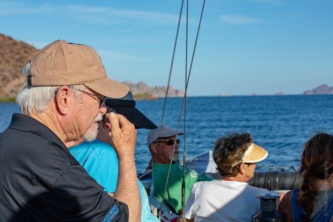 Gray Whale Watching Tour at Lopez Mateos - Why This Tour Offers Value