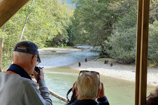 Great Bears of Bute: Grizzly Bear Viewing & Indigenous Cultural Tour - What’s Included and Practical Details