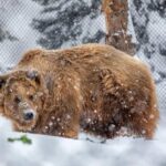 Great Plains Zoo - Highlights That Make It Special