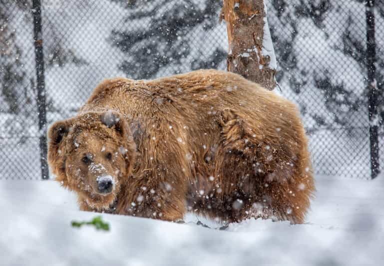 Great Plains Zoo - Highlights That Make It Special