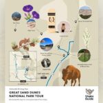 Great Sand Dunes Self Guided National Park Audio Tour - Who Will Enjoy This Tour?