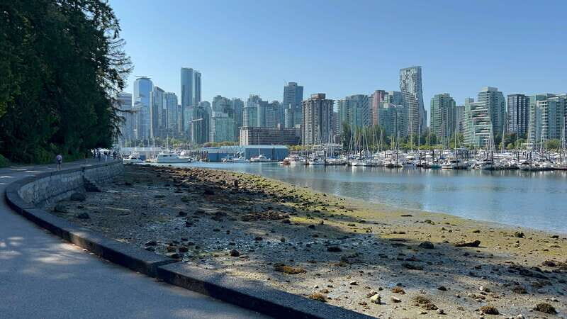 Great Vancouver EUC & E-scooters loop tour - What to Expect from the Tour