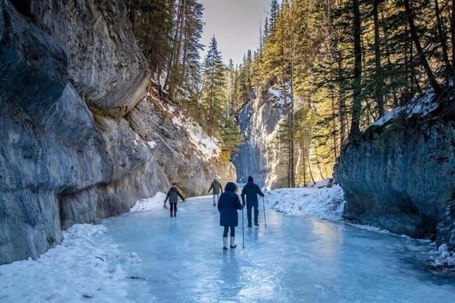 Grotto Canyon Ice Walk with Indigenous Pictographs - Why Choose This Tour?