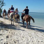 Group horseback ride on Holbox Island, Quintana Roo - Why this tour is a solid value