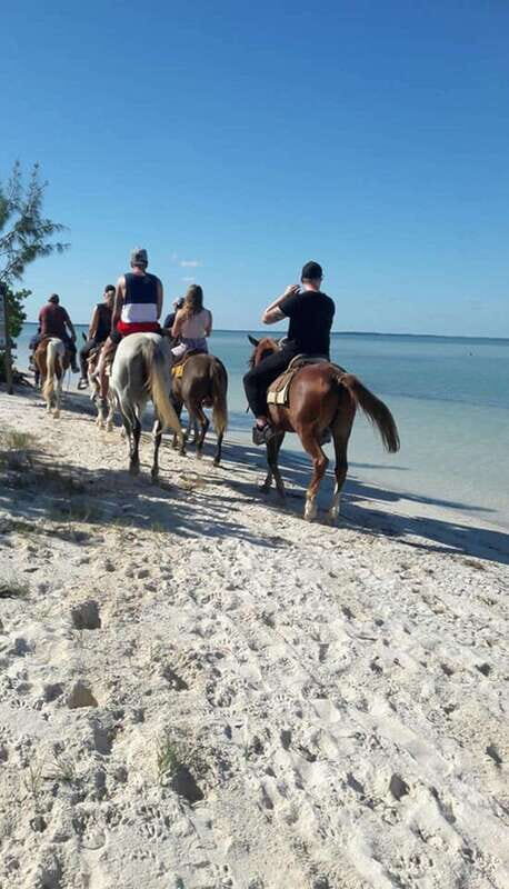 Group horseback ride on Holbox Island, Quintana Roo - Why this tour is a solid value