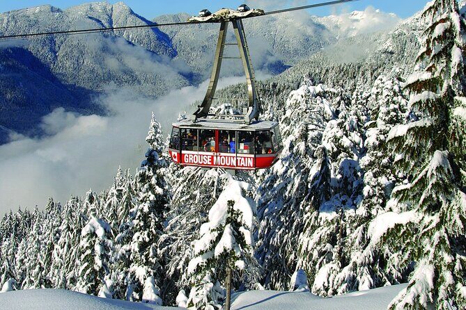 Grouse Mountain Admission Ticket - The Sum Up: Is Grouse Mountain Worth It?