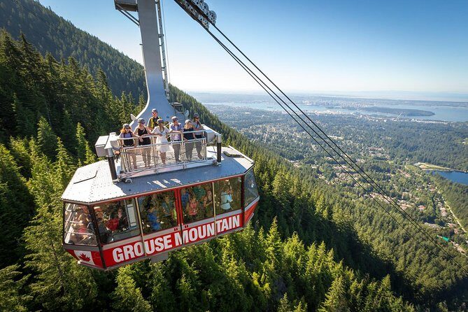 Grouse Mountain & Capilano Bridge Tour with Fish Hatchery - Why This Tour Works Well