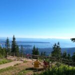 Grouse Mtn Stanley Park Hatchery Cleveland Dam Lynn Canyon Tour - Who Would Love This Tour?