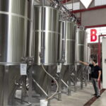 Guadalajara Arquitecture and Brewery Tour - The Brewery Experience at Loba