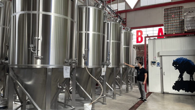 Guadalajara Arquitecture and Brewery Tour - The Brewery Experience at Loba