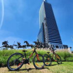 Guadalajara: Bicycle rental per day. - What to Expect from Your Day with Happy Bici Guadalajara