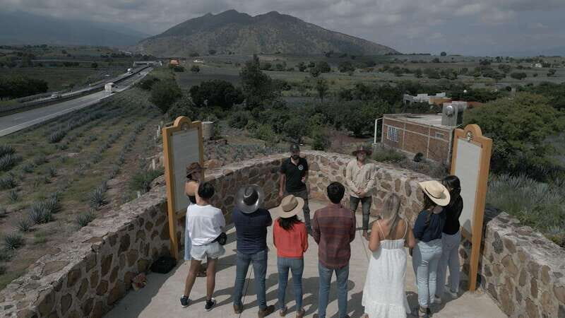 Guadalajara: Premium Tequila Tour with Tastings and Pairings - The Experience in Context