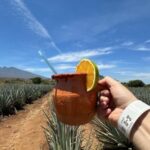 Guadalajara: Tequila Day Trip with Jose Cuervo Option - Key Points
