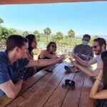 Guadalupe Wine Valley Tour - Authentic Experiences and What Travelers Say