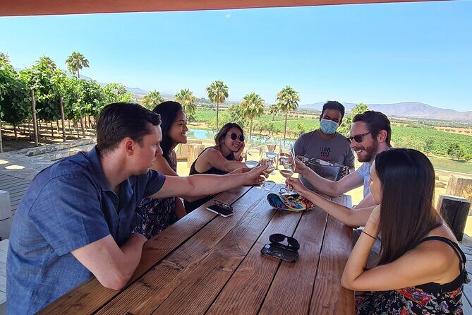 Guadalupe Wine Valley Tour - Authentic Experiences and What Travelers Say