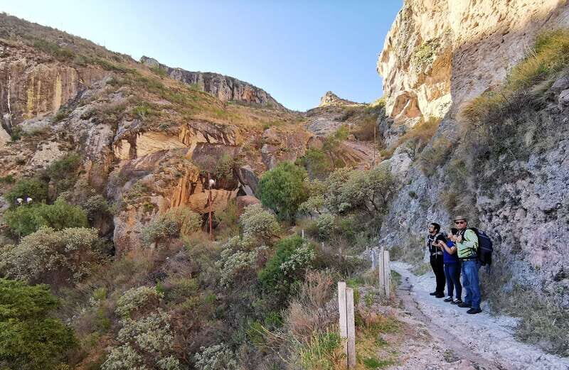 Guanajuato City: Hiking Tour at La Bufa - The Natural Side of Guanajuato