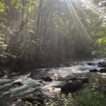 Guided Art Adventure Hikes in Great Smoky Mountains Natl Park - An In-Depth Look at the Experience