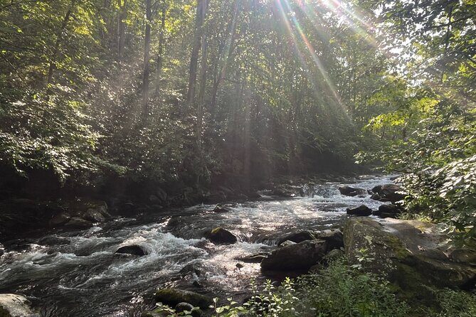 Guided Art Adventure Hikes in Great Smoky Mountains Natl Park - An In-Depth Look at the Experience
