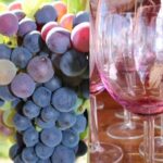 Guided Bike Tour on Historical Kettle Valley Railway at Myra Canyon & Wine Tour - What Makes This Tour Stand Out?
