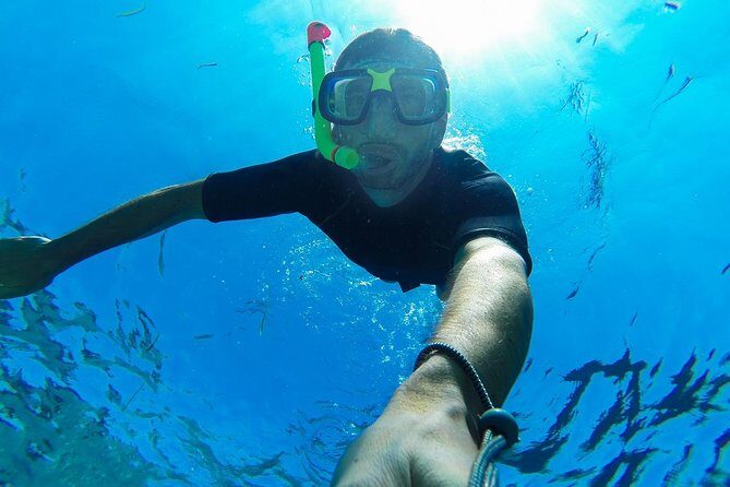 Guided by Divemaster, Cabo San Lucas short Snorkeling Tour MANTA - Who Should Book This Tour?