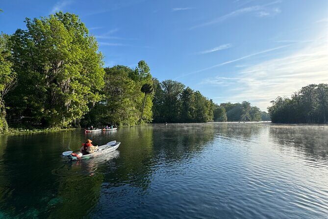 Guided Clear Kayak Tours on the Silver River - The Sum Up: Who Is This Tour Best For?
