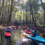 Guided Congaree National Park Kayak Tour - The Sum Up
