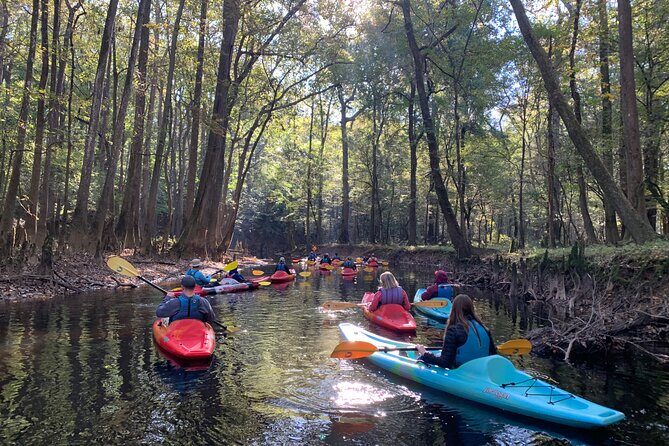 Guided Congaree National Park Kayak Tour - The Sum Up