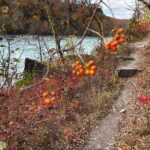 Guided Hike Along the Niagara River Gorge to Power Plant Ruins - The Guide and Overall Experience