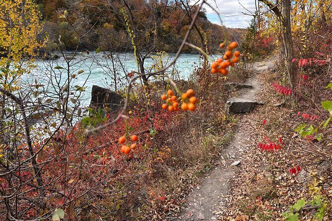 Guided Hike Along the Niagara River Gorge to Power Plant Ruins - The Guide and Overall Experience