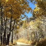 Guided Hike in Rocky Mountain National Park - Why This Tour Is a Great Value