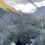 Guided Hike in the Sonoran Desert - What to Expect During Your Guided Hike