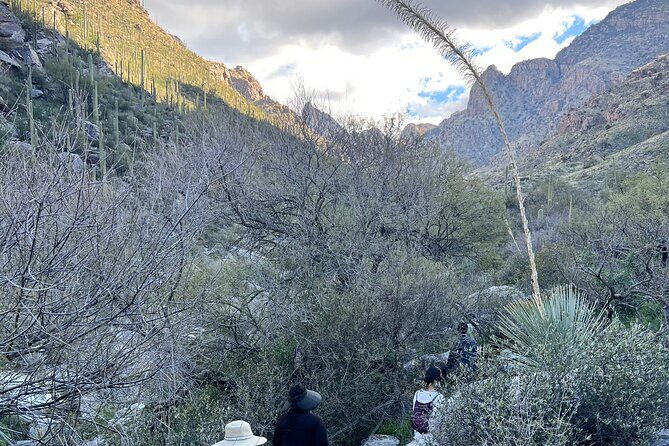 Guided Hike in the Sonoran Desert - What to Expect During Your Guided Hike