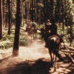 Guided Horseback Trail Rides - Final Thoughts