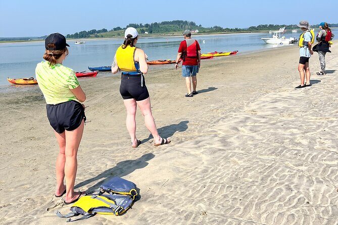 Guided Kayak at the Crane Estate - What Sets This Tour Apart