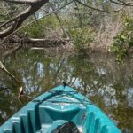 Guided Kayak Experience at EG Simmons Park - Final Thoughts: Is It Worth It?