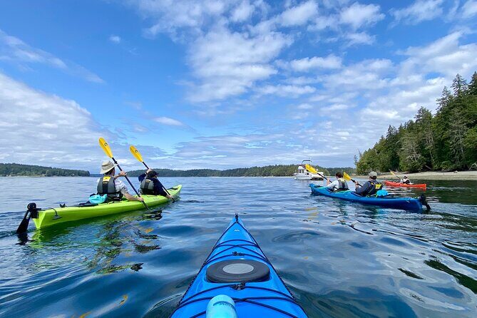 Guided Kayak Tour To Hope Island State Park - The Experience in Detail: Making the Most of Your 3 Hours