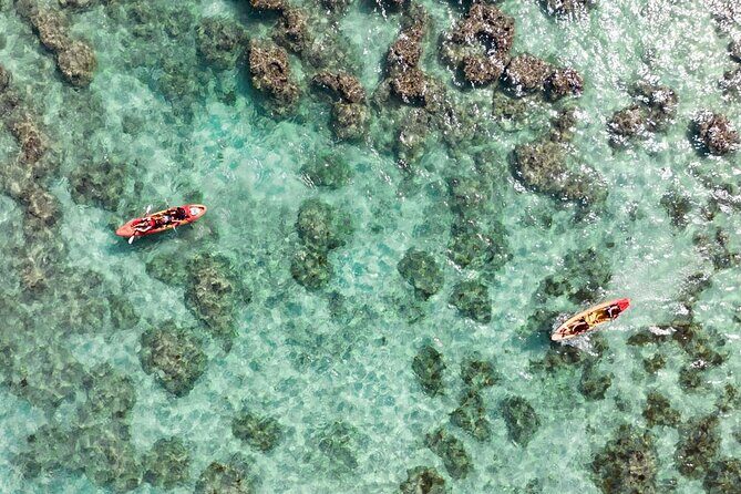 Guided Kayak Tour to Kailuas Twin Islands - Why This Tour Offers Excellent Value