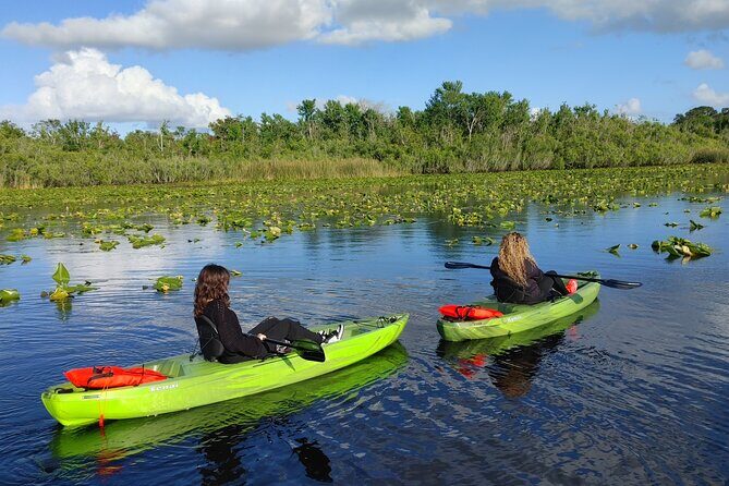 Guided Kayaking Manatee Tour near Orlando - What to Expect from Your Kayaking Adventure