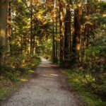 Guided Oceanside Private Hike - What’s Included and What to Expect