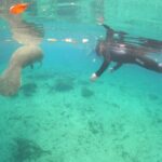 Guided Semi-Private Snorkel Tour (w/ FREE Photos!) - An In-Depth Look at the Tour Itinerary