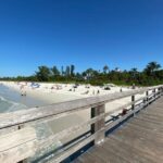Guided Sightseeing Bike Tour - Explore Naples Florida - Why Consider a Guided Bike Tour in Naples Florida?