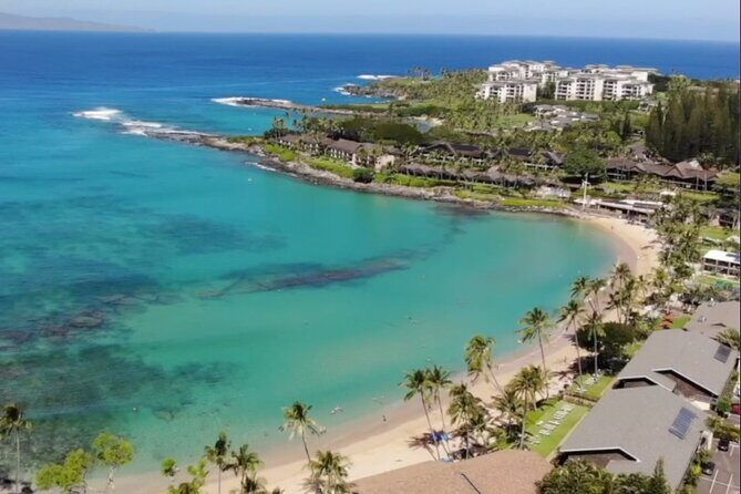 Guided Snorkeling for Beginners with Flotation Wetsuit - Why We Think This Tour Offers Great Value
