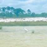 Guided Stand up Paddle Activity - The Sum Up